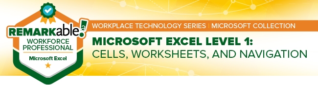 Microsoft Excel Level I: Cells, Worksheets, and Navigation | National Able